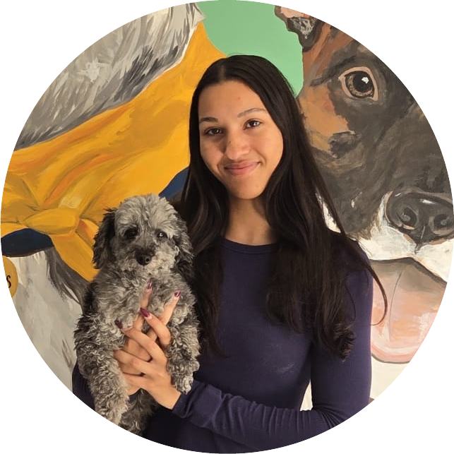 About Us - Pup Scouts